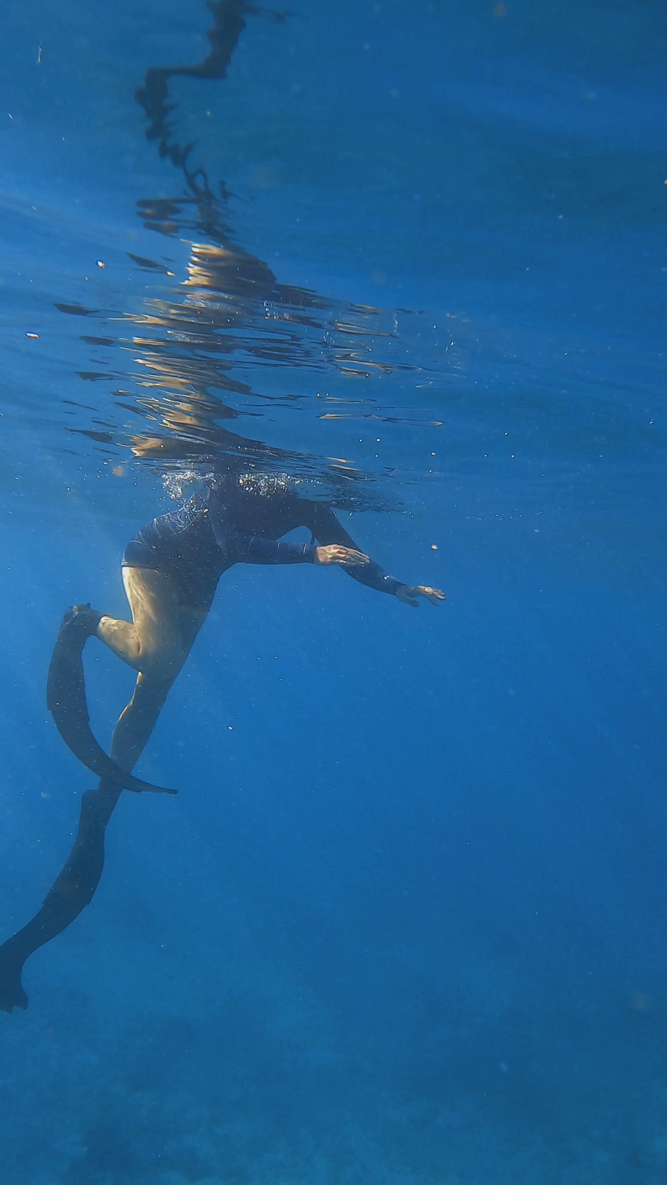 Long sleeve wetsuit – The Swim Set